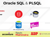 Oracle Pl Sql Training Advanced Programming Course 2025
