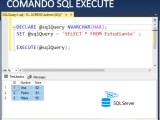 Sql Execute Para Llamar Comando Sqlserverdb