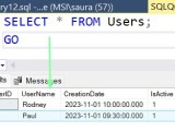 How To Execute Stored Procedure For Insert In Sql Server Sql Server