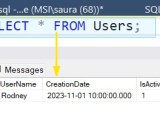 How To Execute Stored Procedure For Insert In Sql Server Sql Server