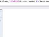 Sql Server Reverse Sql Server Guides