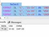 Format Function In Sql Server Sql Server Guides