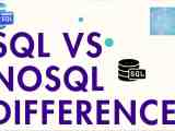 Sql Vs Nosql Differences Sql Server Guides