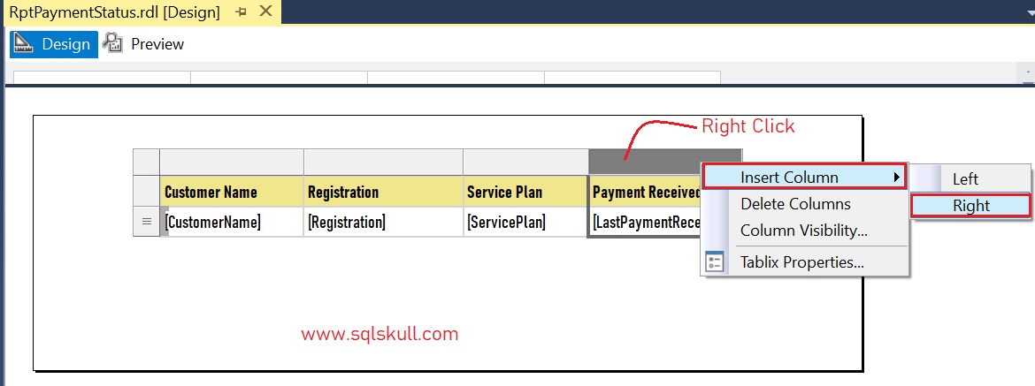 Display check box for active and inactive values in SSRS - SQL BI Tutorials