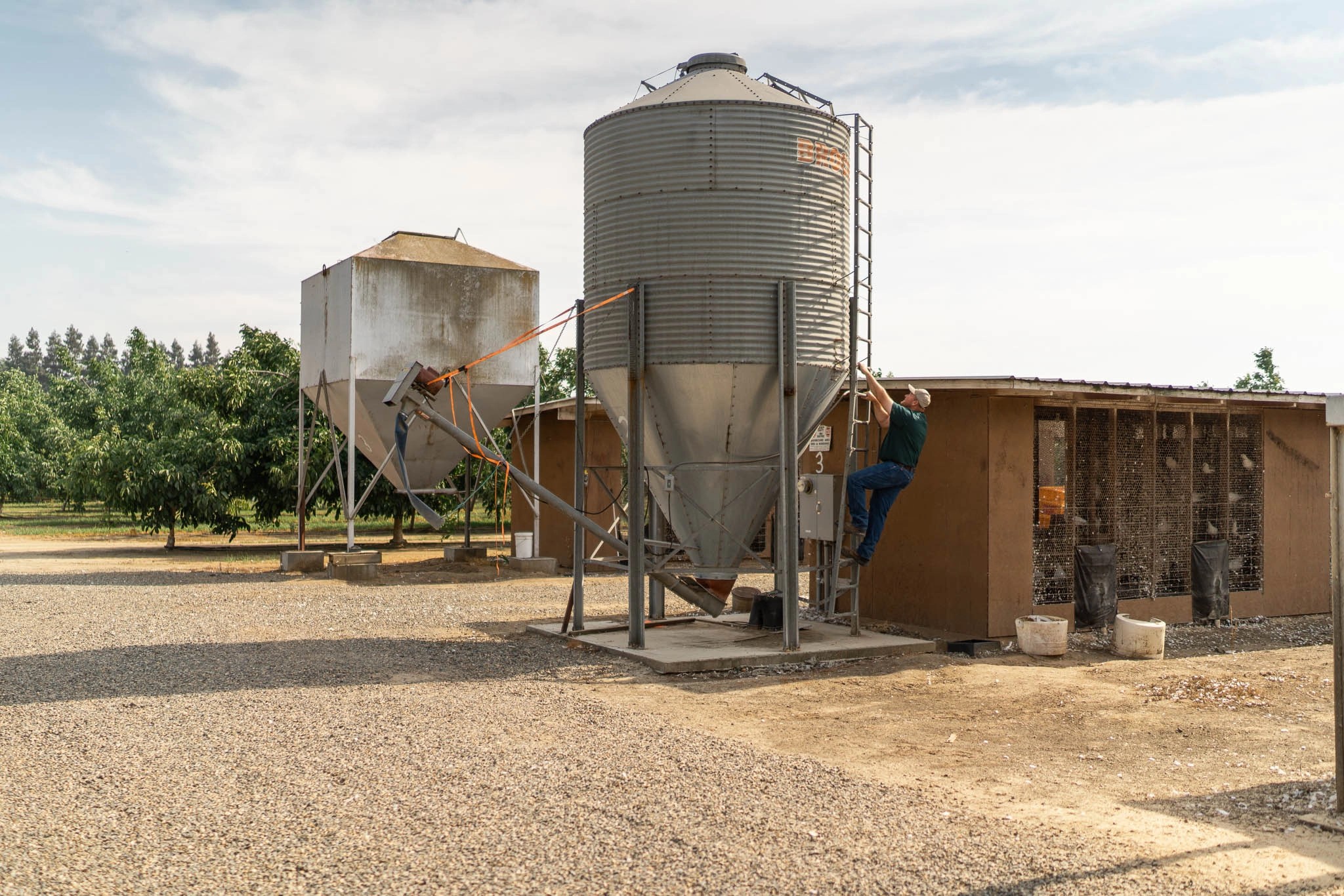 Squab Farming - Squab Producers of California