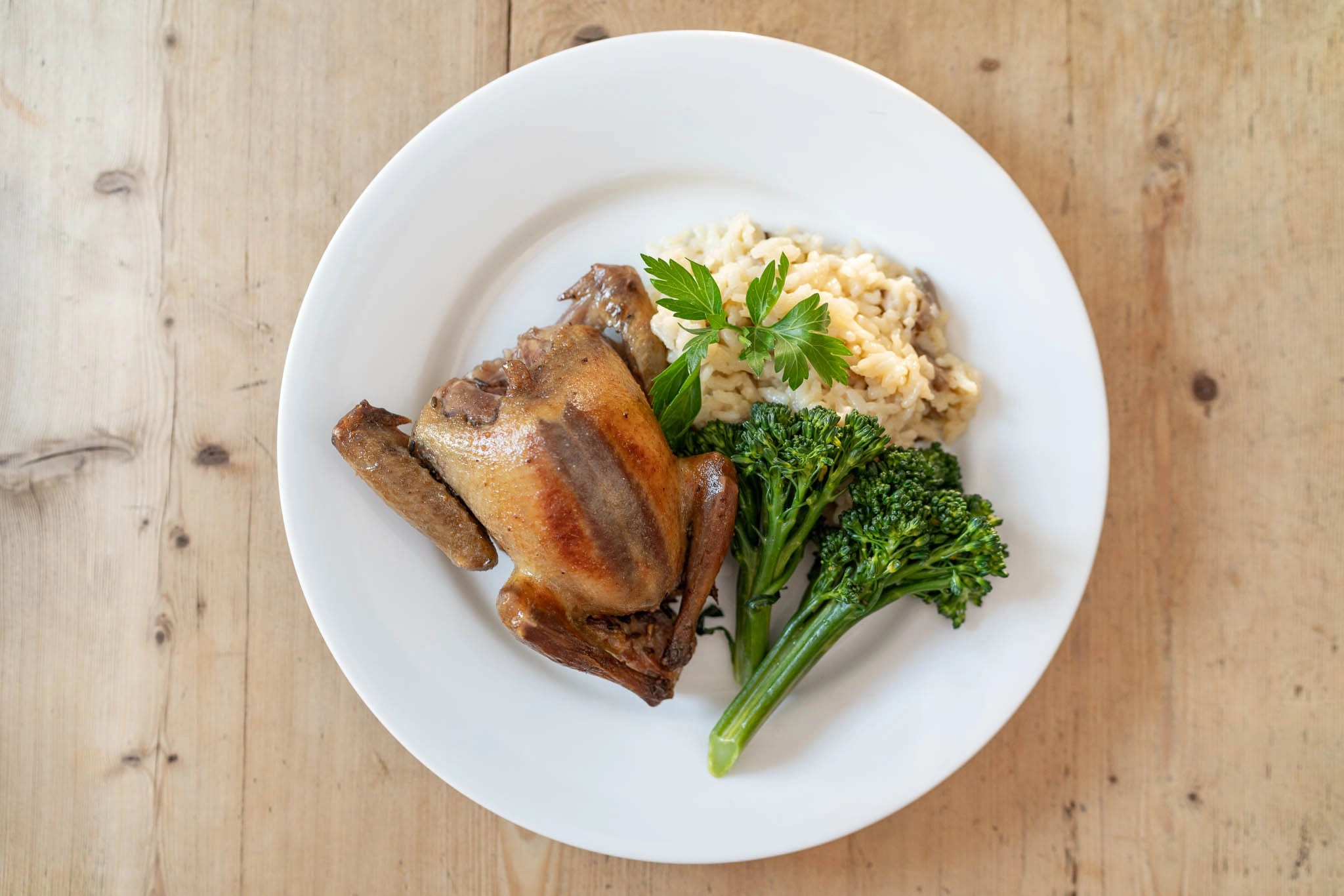Fennel Roasted Whole Squab With Orzo & Broccolini - Squab Producers of ...