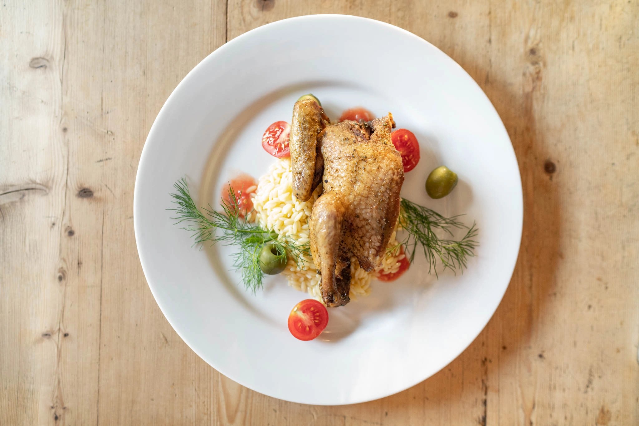 Fresh Herb-Grilled Squab & Toasted Orzo - Squab Producers of California