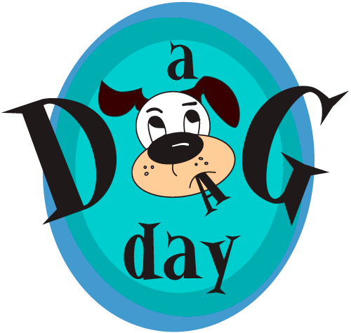 Which Image Format Should I Use? | Square Bear Studio