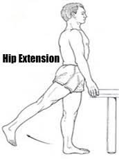Hip Extension – Squat University