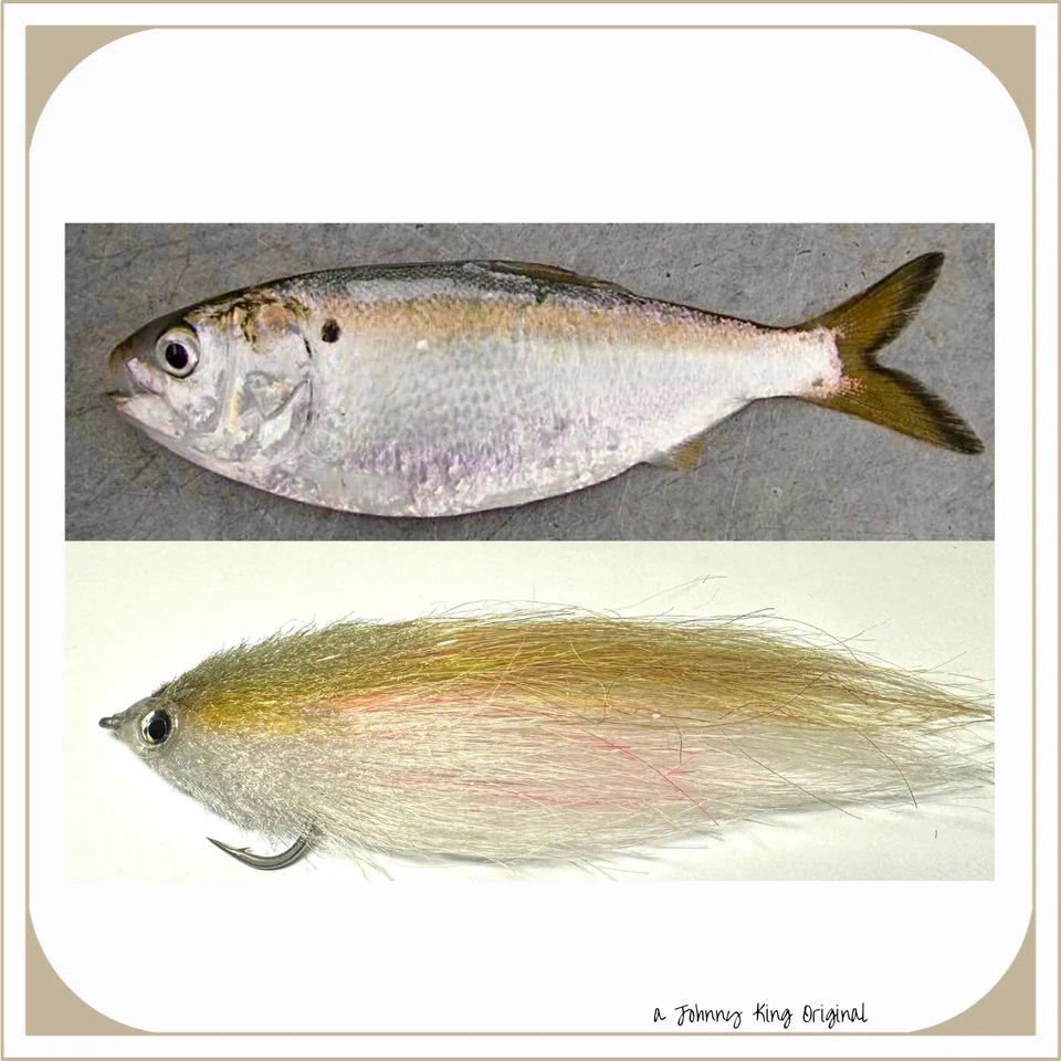 Fly Tying Tutorials Squimpish Flies