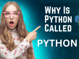 Why Is Python Called Python Story Of Python Sifars