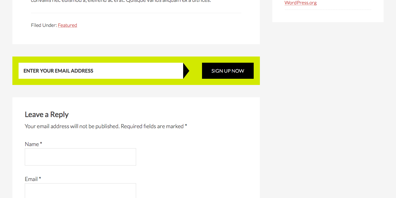 How To Add A Right Arrow Directly After Email Input Field Using Css And Jquery Sridhar Katakam