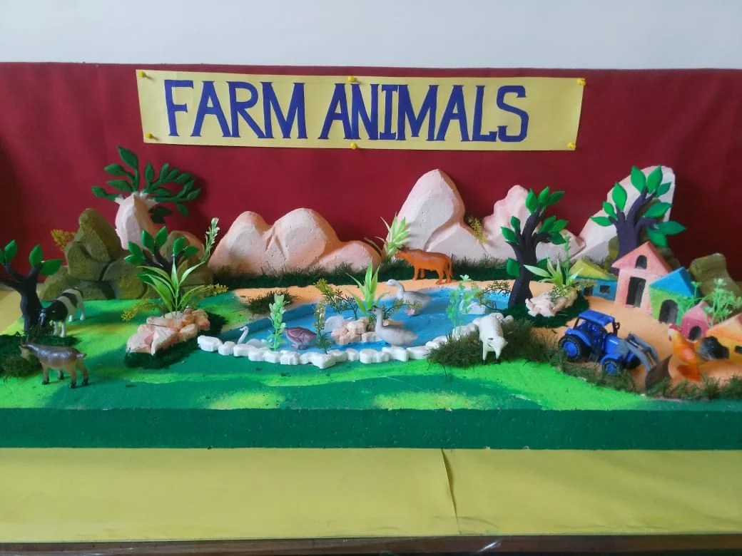 SRVM, Raigarh – A CBSE Senior Secondary School