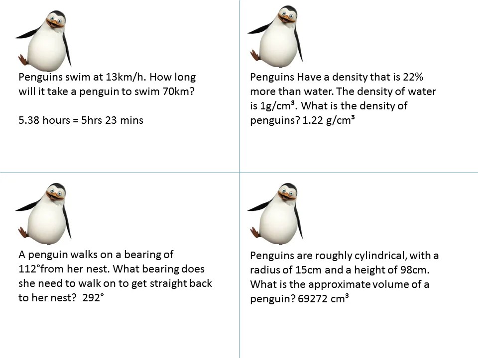 Penguins – SSDD Problems