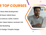 Top It Training Courses In Ahmedabad Stackcode Training Institute