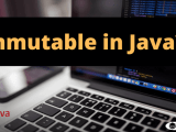 What Does Immutable Mean In Java Stackhowto