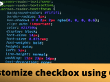 Customize Checkbox Using Css Stackhowto