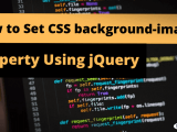 How To Set Css Background Image Property Using Jquery Stackhowto