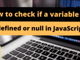 How To Check If A Variable Is Undefined Or Null In Javascript Stackhowto