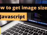 How To Get Image Size Height Width Using Javascript Stackhowto