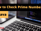 How To Check Prime Number In Java Stackhowto