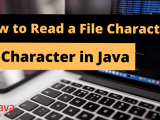 How To Read A File Character By Character In Java Stackhowto