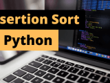 Insertion Sort In Python Stackhowto