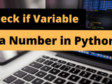 Python Check If Variable Is A Number Stackhowto