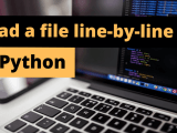 Python Read A File Line By Line Stackhowto