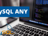 Mysql Any With Example Stackhowto