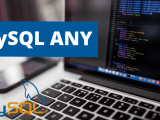 Mysql Any With Example Stackhowto