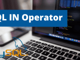 Sql In Operator Stackhowto