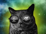 The Java Vs Net Comparison Explained With Cats Stackify
