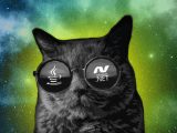 The Java Vs Net Comparison Explained With Cats