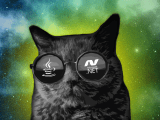 The Java Vs Net Comparison Explained With Cats