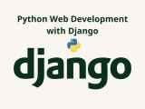 Python Web Development With Django Stackpython