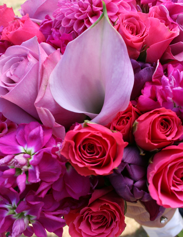 Magenta Colored Flowers