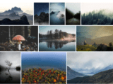 How To Create Functional Image Gallery In Html Css Javascript