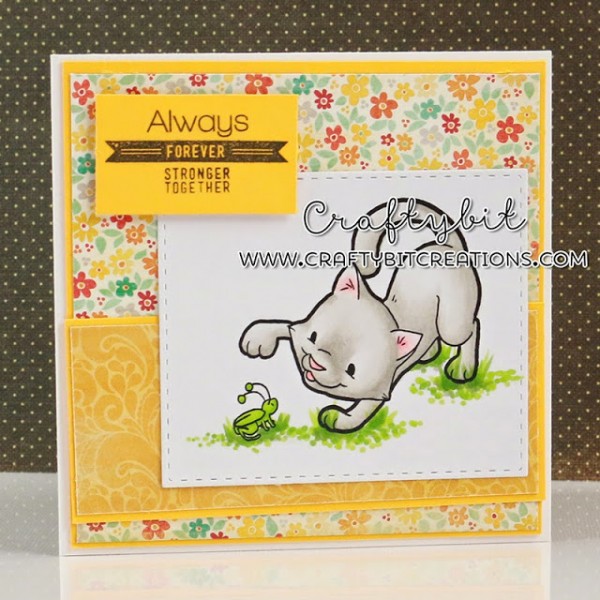 Project : Cute Kitty Card – Stamping