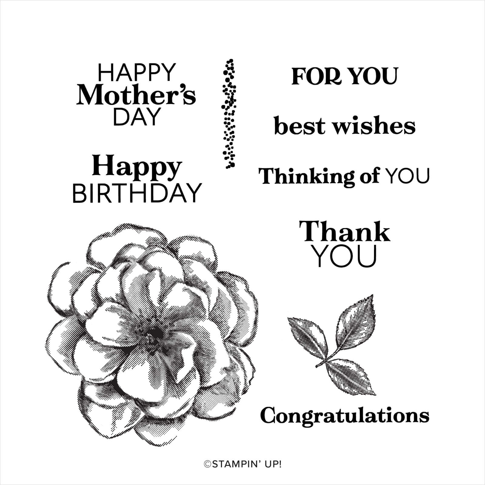 Stampin’ Up! Sentimental Rose Card Kit – Stamp With Amy K