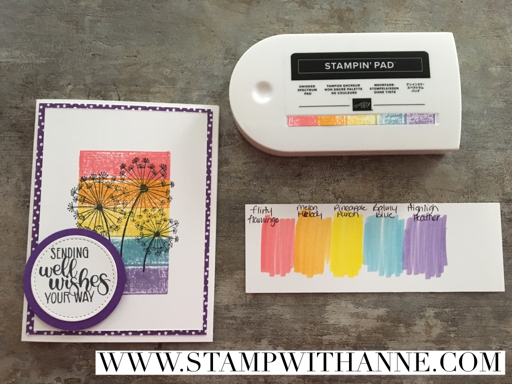 Spectrum Pads - Product of the Week - Stamp With Anne!