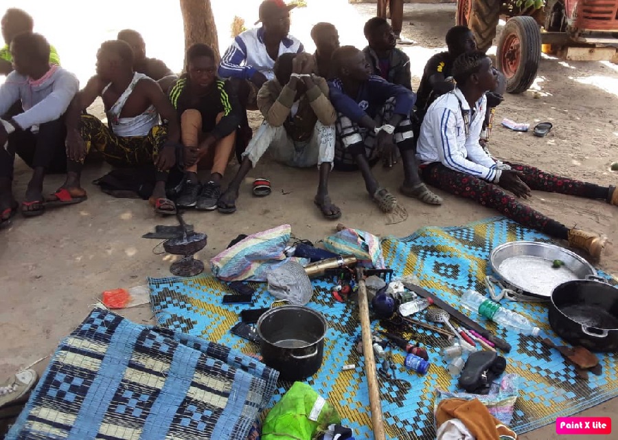 Navy Arrest 'criminal Gang' In Tanji Forest – The Standard Newspaper ...