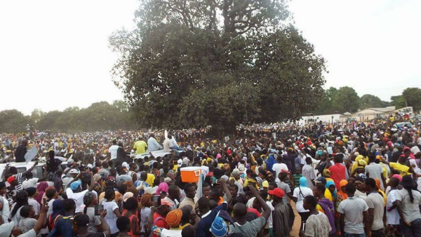 The Crowd Competition Vs The Data – The Standard Newspaper | Gambia