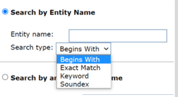 Business Entity Search Michigan : Corporations Division Search For A ...