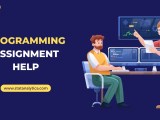 Most Trusted Programming Assignment Help Online 24 7 Available