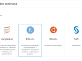 Rstudio Advanced Analytics Workspace