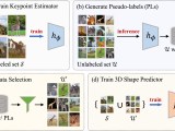 Animals3d
