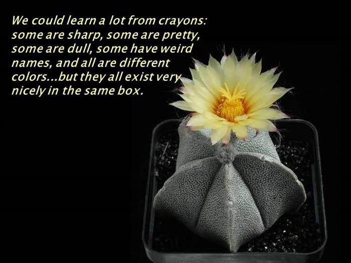 The Staths Family – S T A T H S.COM