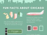 Illustrtor Tutorial Five Infographic Steps Infographic