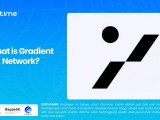 What Is Gradient Network